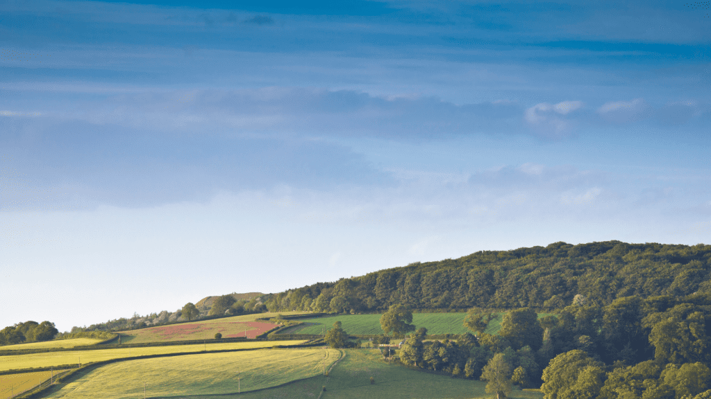 Looking for a Financial Planner in Hodnet? - Howard Wright